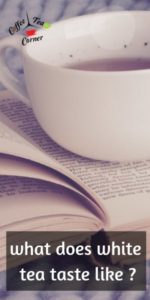 Here's What Delicate White Tea Tastes Like (And How To Make A Cup)