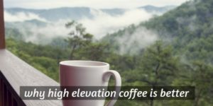 3 Good Reasons High Altitude Coffee Is Better