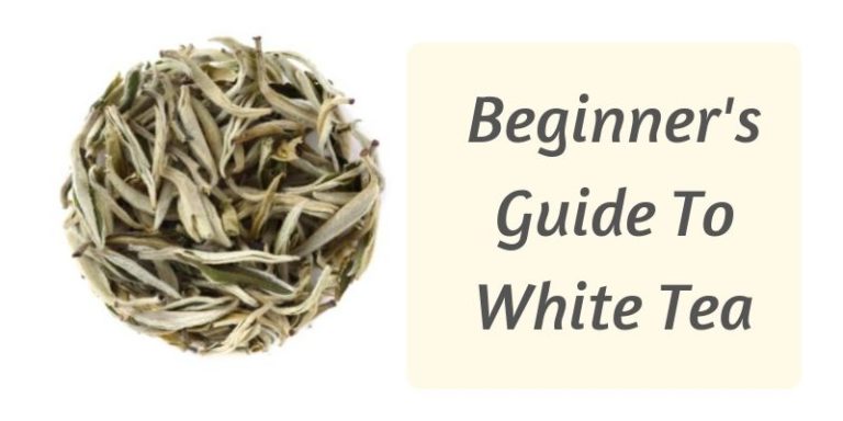 Beginner's Guide To White Tea - Everything You Need To Know