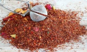 11 Things You Need To Know About Rooibos Tea