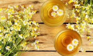 Ultimate Guide To Chamomile Tea (And How To Make A Cup)