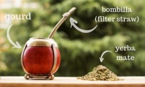 Beginner's Guide to Yerba Mate (Brewing, Taste, Effects)
