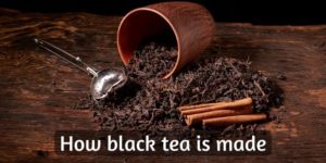 How Is Black Tea Made ? Exploring And Explaining The Manufacturing Process