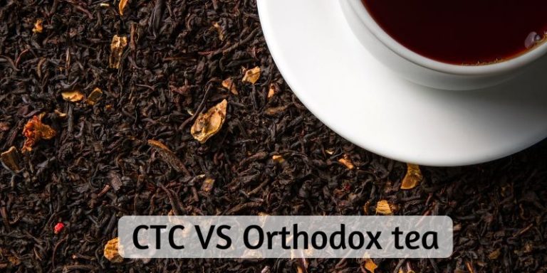 CTC VS Orthodox Black Tea - 5 Differences To Help You Choose