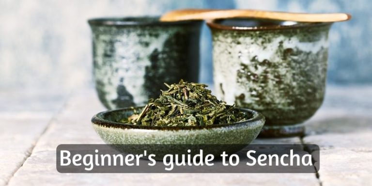 What Is Sencha ? A Beginner's Guide Japan's Popular Green Tea