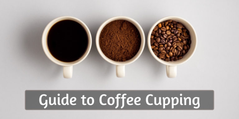 Beginner's Guide To Coffee Cupping - CoffeeAndTeaCorner